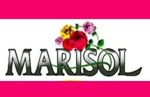 HIPERSESSÃO : 'Marisol':Resumo dos Capítulos de 6 a 10 de Agosto