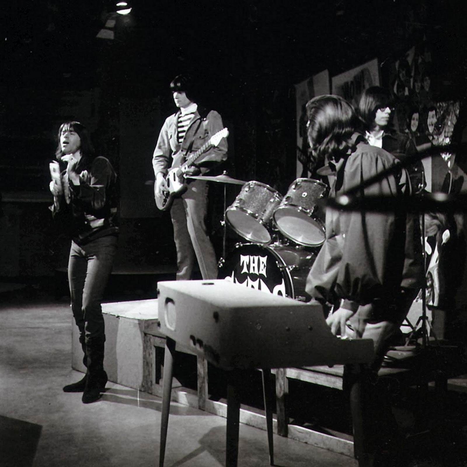 Forestdweller: The Seeds