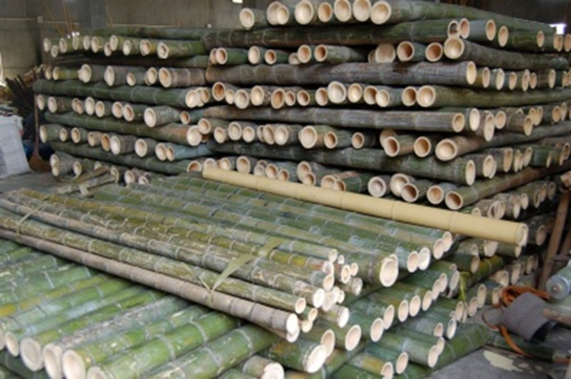 Lamboo Architectural & Structural Bamboo: In Africa’s Vanishing Forests ...