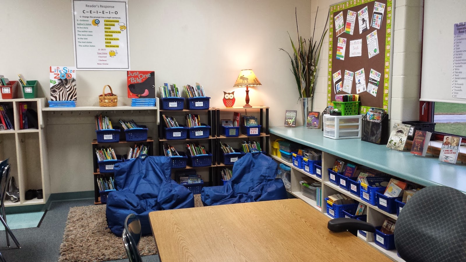 Ruminate and Invigorate: Our 4th Grade Classroom