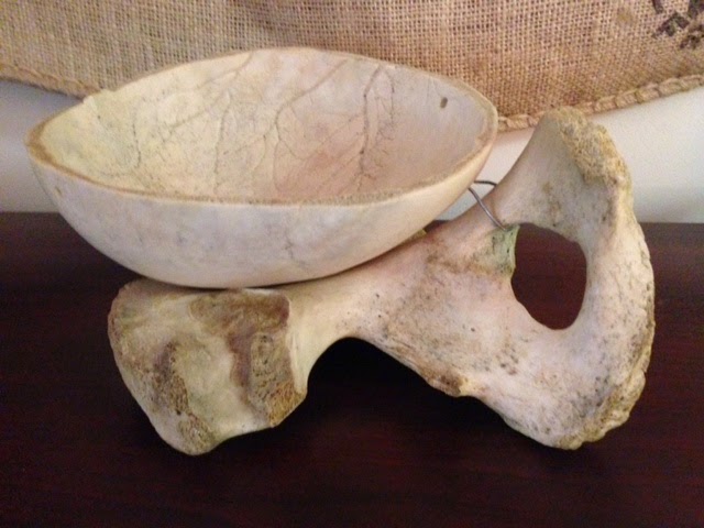 The Body Blog: Up From the Bogs...