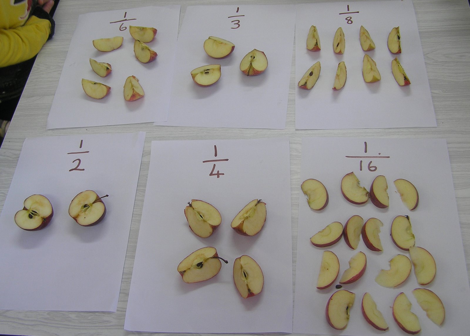 Room 7 Twizel Area School 2015: Apple Fractions