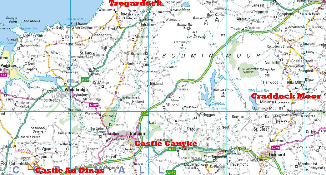 Shadows in the Mist: The Quest for a Historical King Arthur: THE ...