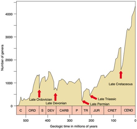 Exeter Deep Ecology Network: The Sixth Extinction - The biggest story ...