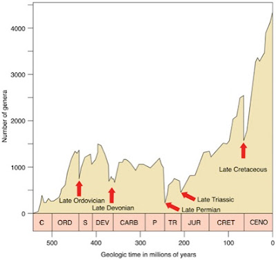 Exeter Deep Ecology Network: The Sixth Extinction - The biggest story ...