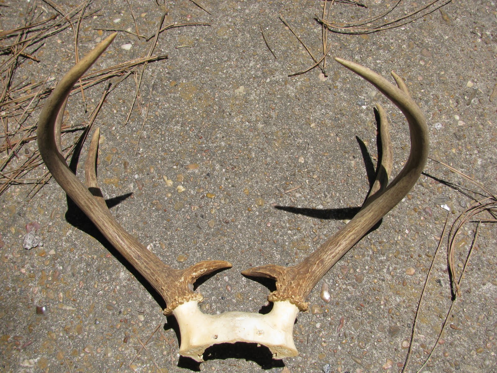 Roland Dressler 409.750.3688 • Estate Sales • Business Liquidations ...