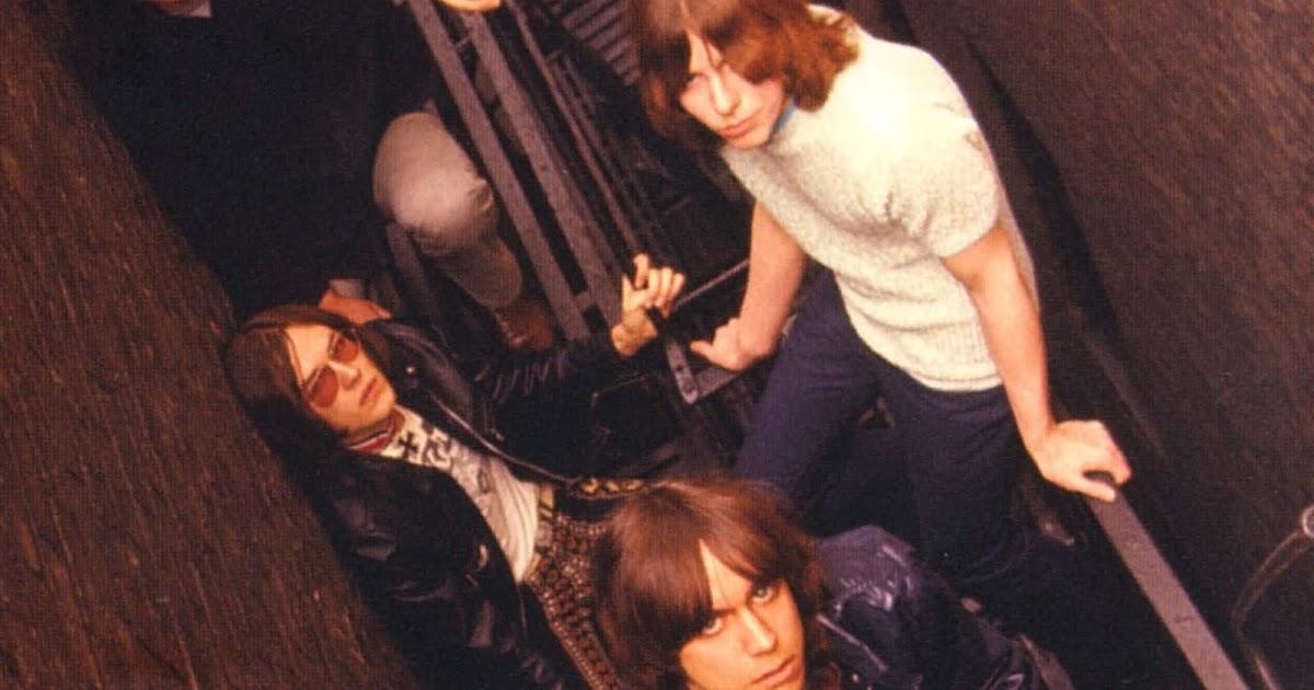 Forestdweller: The Stooges