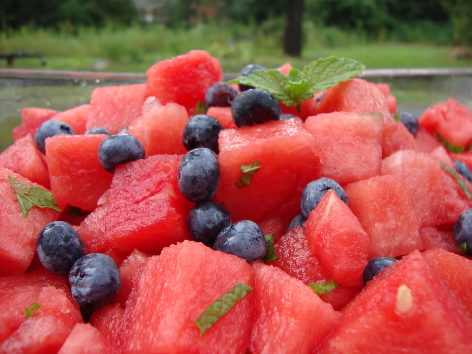 a poet's kitchen: Red, White, and Blueberry Watermelon Salad