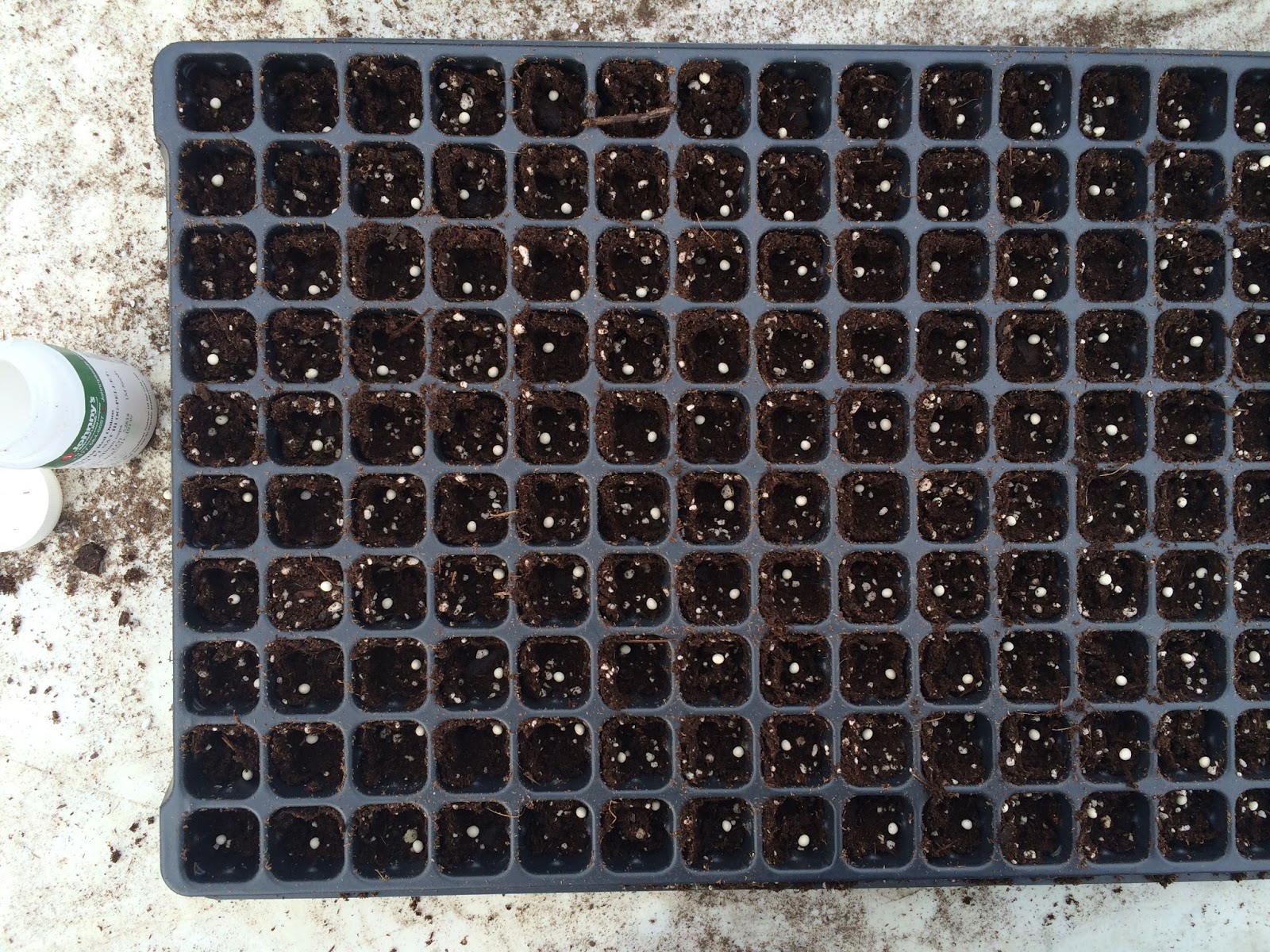 Robson's Farm: The Wonder of Pelleted Seeds