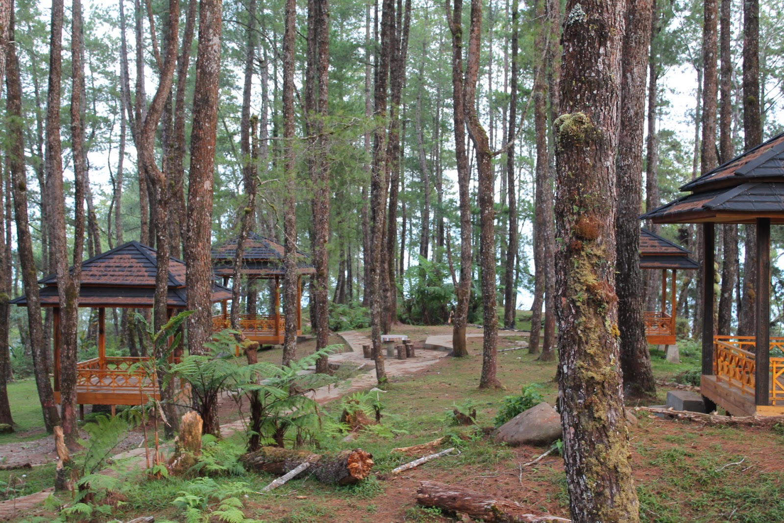 Gunung Pango-Pango @Tana-Toraja: Gunung Pango-pango