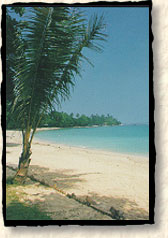 Sambolo Beach Bungalow