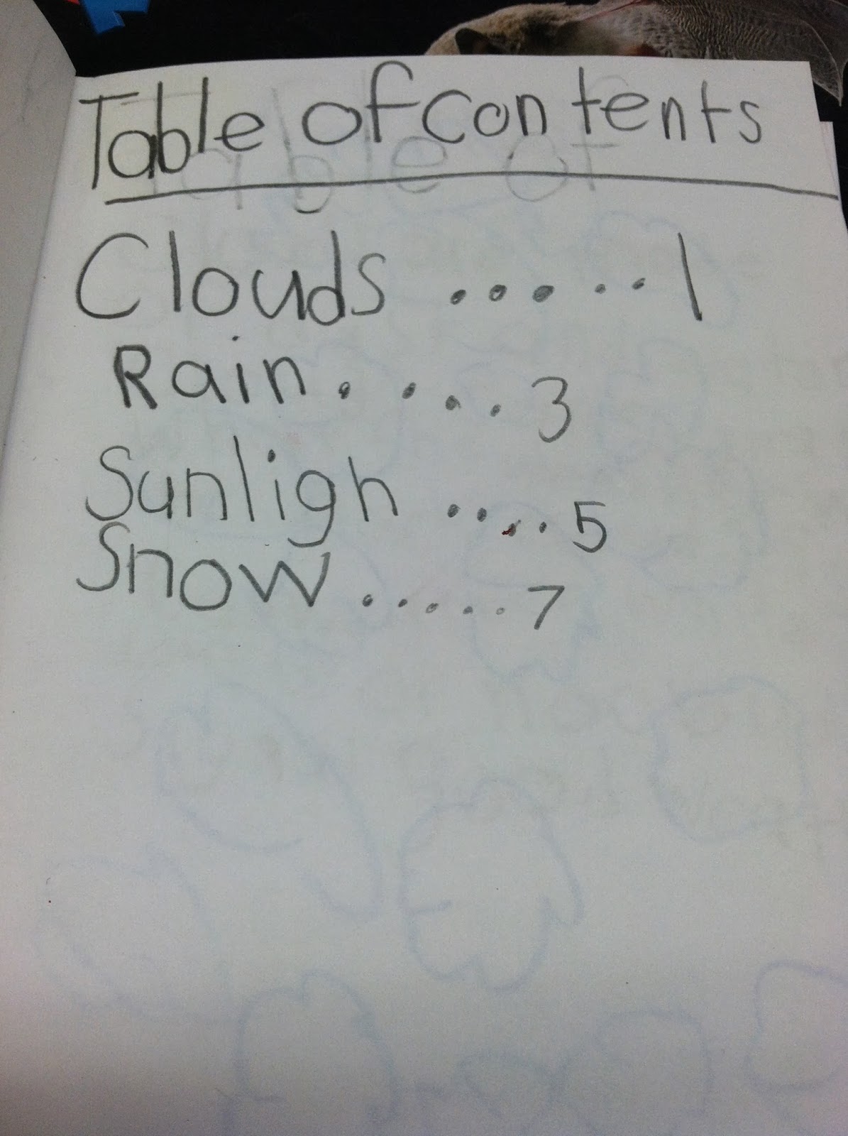 Team J's Second Grade Fun: Weather Books