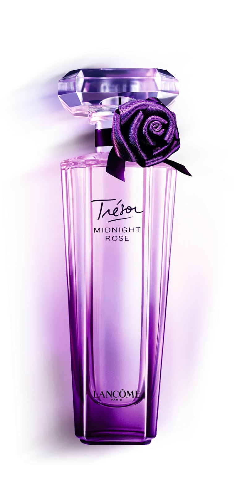 SALVADOR POR STEFANO DIAZ: COM EMMA WATSON, ‘MIDNIGHT ROSE’ CHEGA À ...