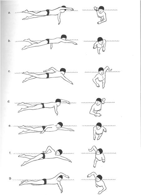 Pedalea Corre Nada: Técnica de natación. Estilo Crol.
