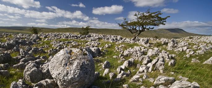 Landforms in the World: Erosion Landform ( 13.Limestone Pavement )