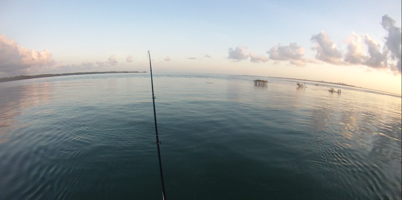 Saltwater Fly Fishing (SWOFFING) Darwin, NT: Weed Reef for an hour