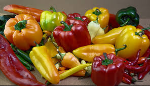 Panorama Rural, Ahora: ¿Cuál es la diferencia de los morrones por su color?