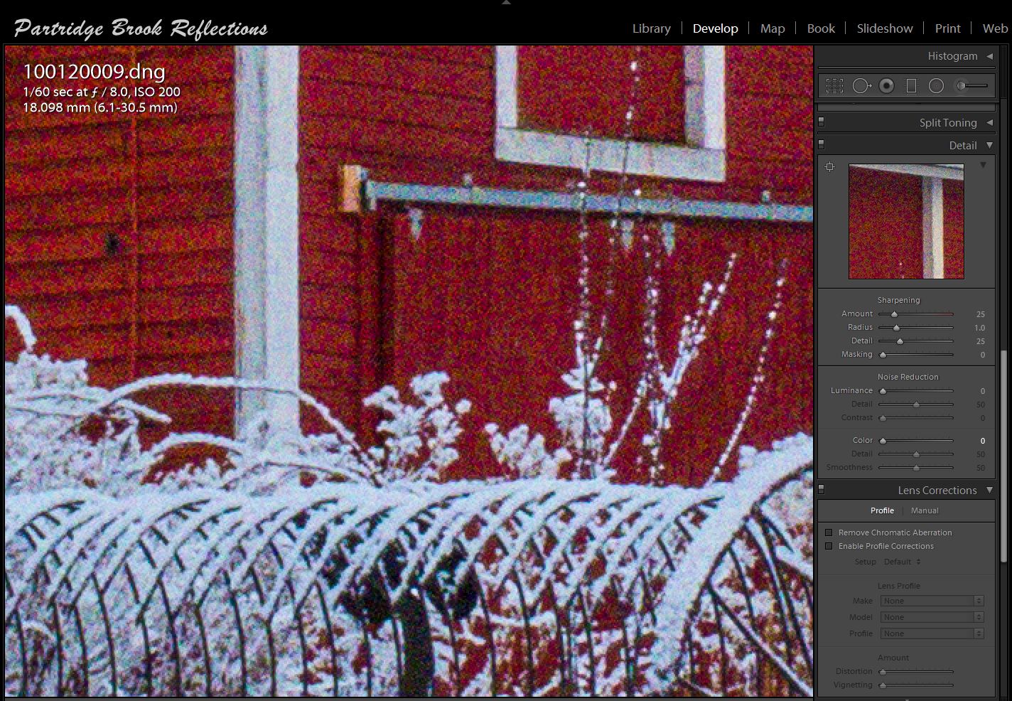 Getting it Right in the Digital Camera : Noise Reduction in Lightroom CC