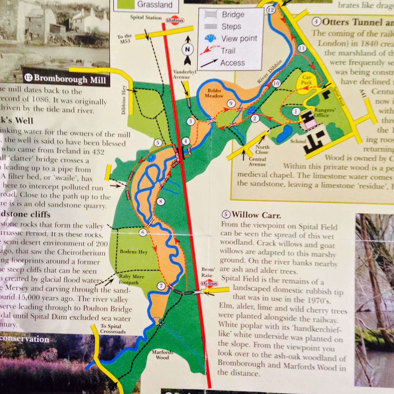 Maghull Meanders: Brotherton Park and Dibbinsdale Nature Reserve