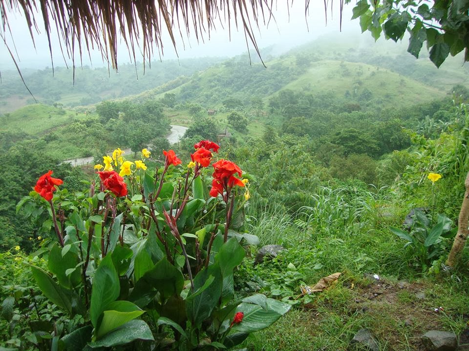 Tanawan In Laur, Nueva Ecja | The Monster Blogger