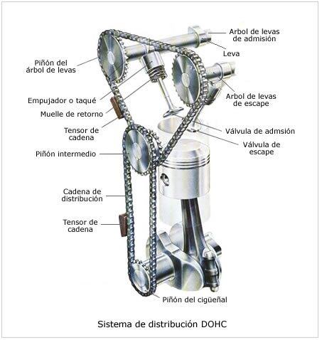 mecánica básica para principiantes : Sincronización de la cadena de ...