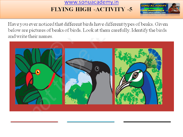 SONU ACADEMY: FLYING HIGH - ACTIVITY