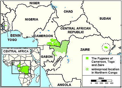 Our Mission experiences from Canada into Cameroon ...: The Remarkable ...