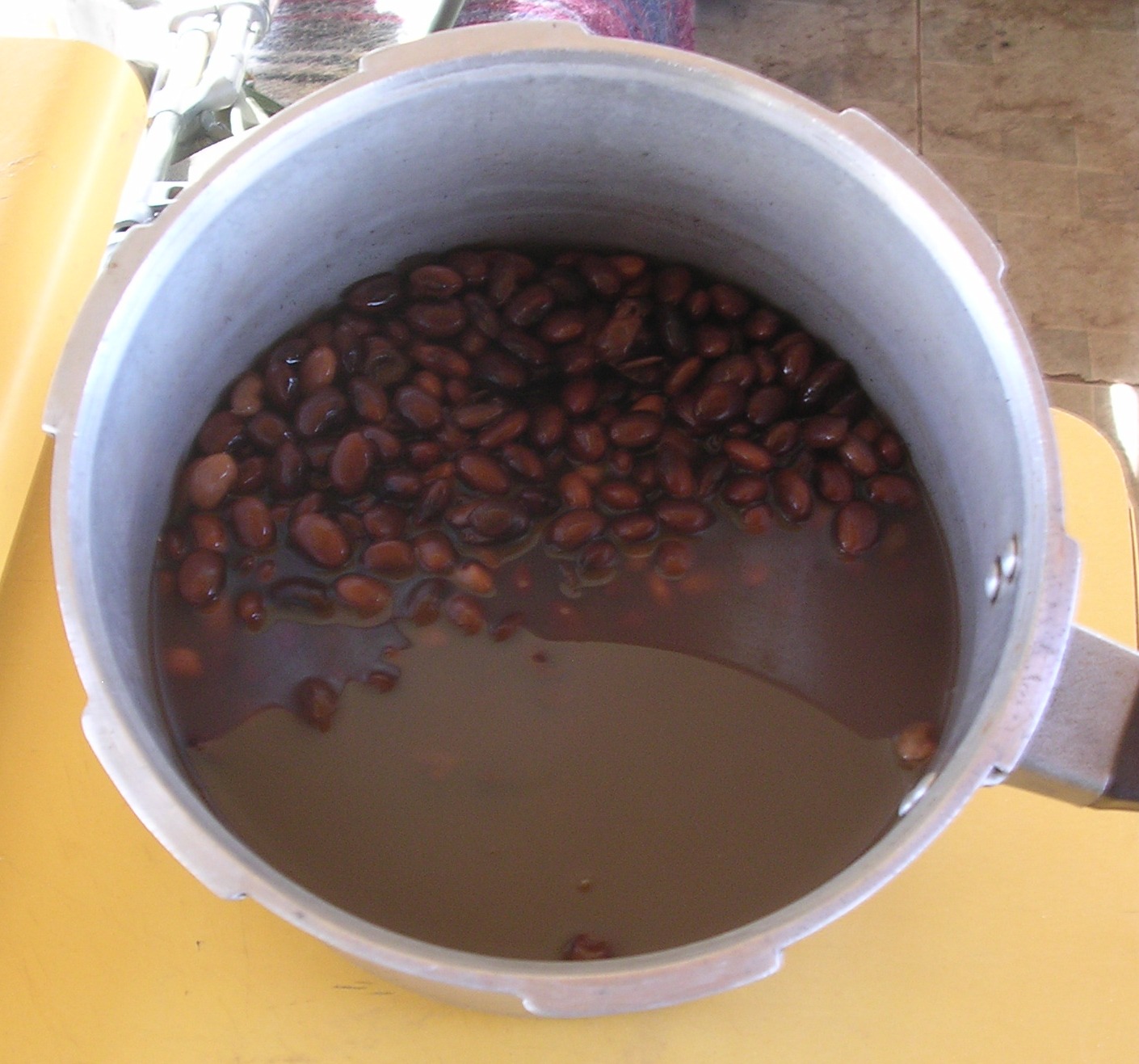 Beans 101 | The Ultimate Answer to Kings