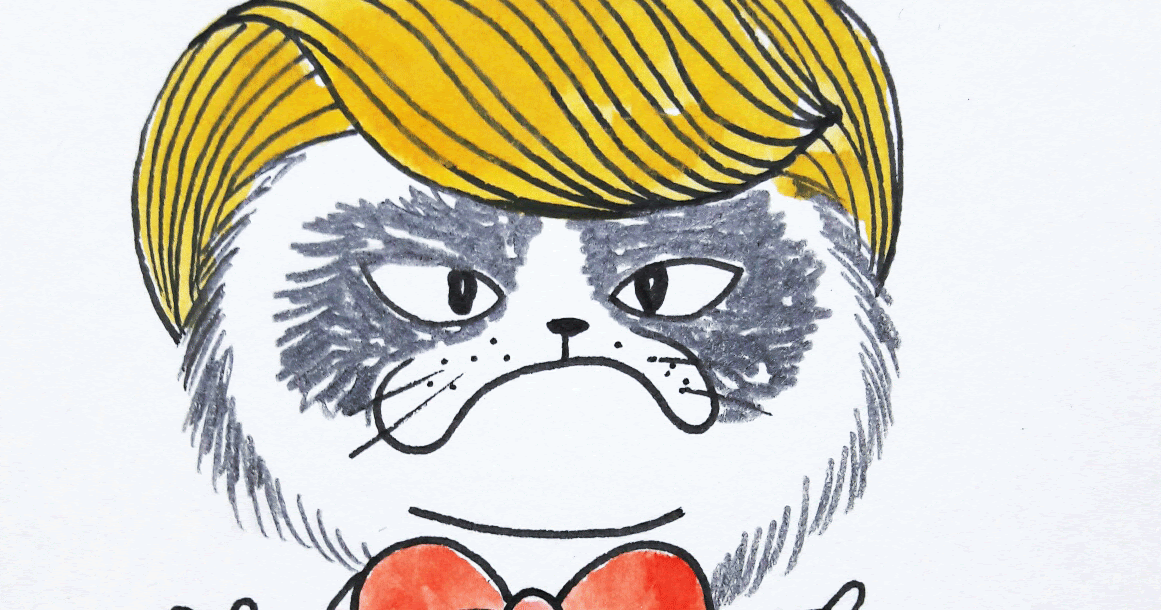 Lulu Mayo: Mr. Trump Cat