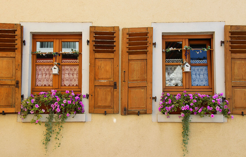 Windows Stories - Photography Series - Germany, France | Starfish
