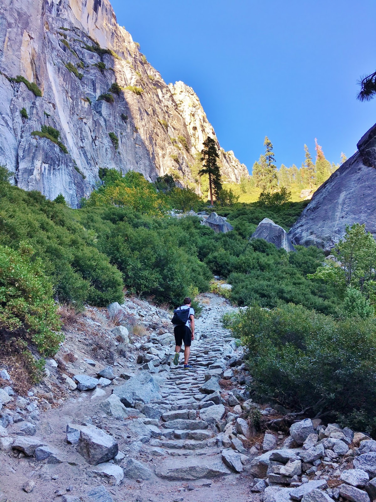 Life is a mountain.: El Capitan via Yosemite Falls Trail - Yosemite, CA ...