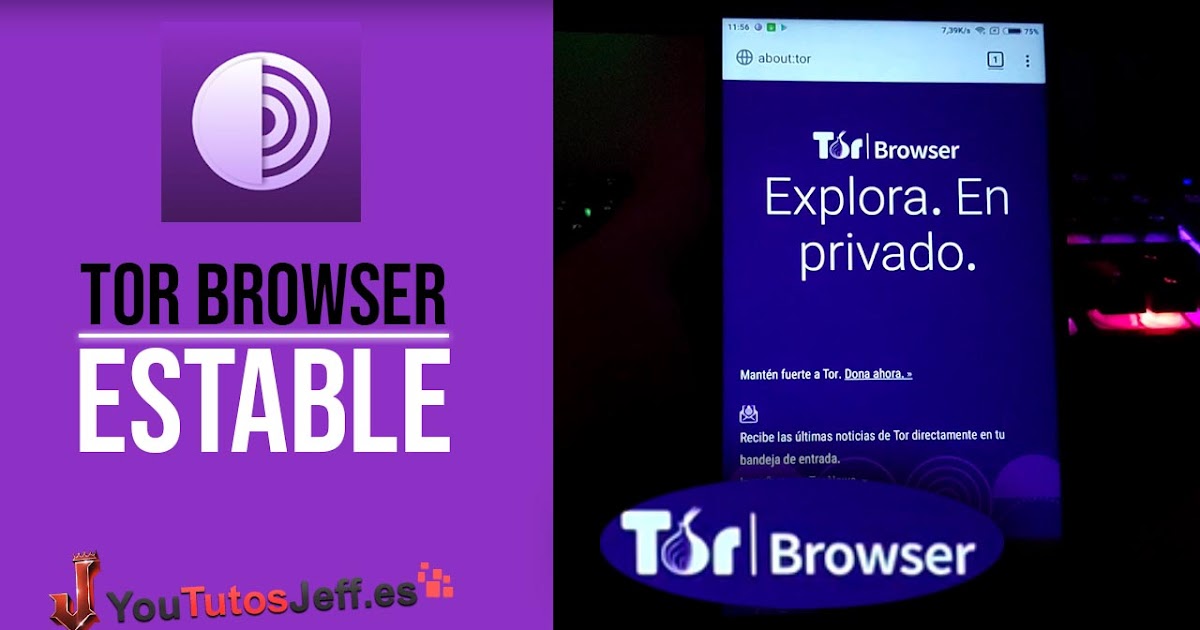 Descargar Tor Browser Para Windows 10 8 Y 7