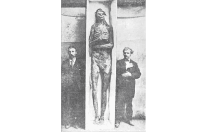 Divinorum Psychonauticus: The Nephilim Vs. the Koch Brothers