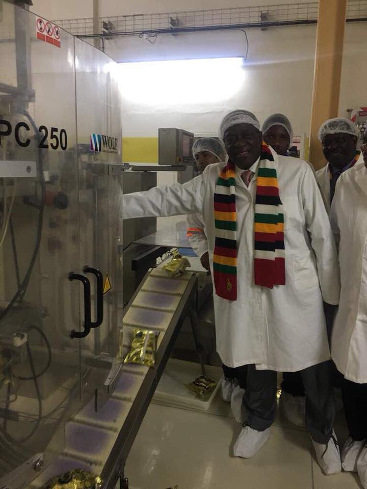 ED COMMISSIONS CREMORA PLANT | Mafaro