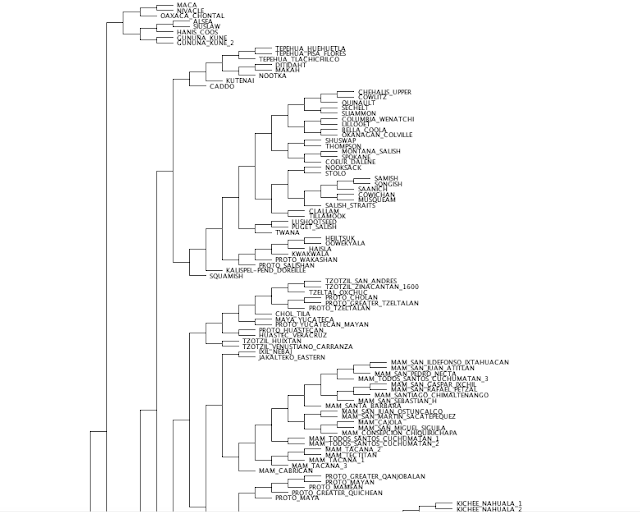 A Global Tree of Languages