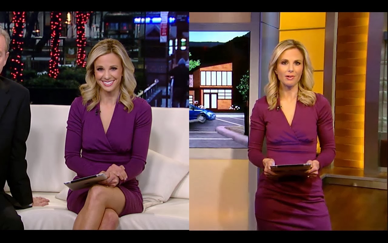 Reporter101 Blogspot: Last Week of Jan: Gretchen Carlson and The Ladies ...