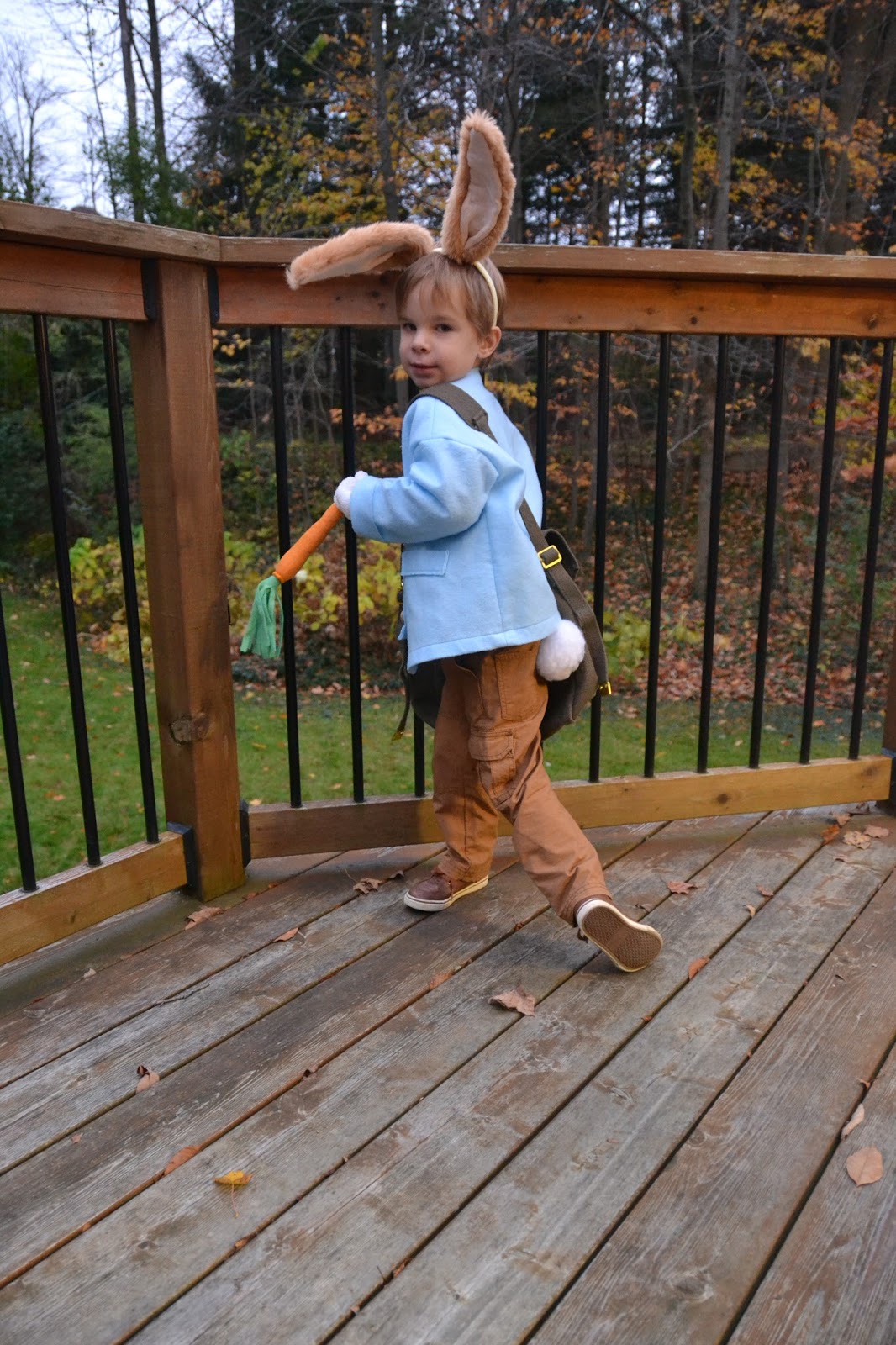 Peter Rabbit & Co. - Family Costume Idea