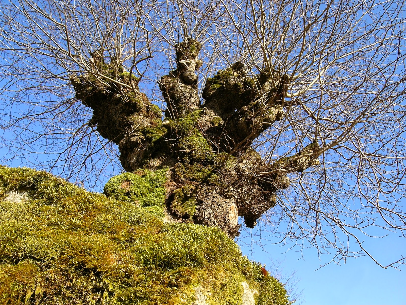 Detektoristene i Gudbrandsdalen: september 2014