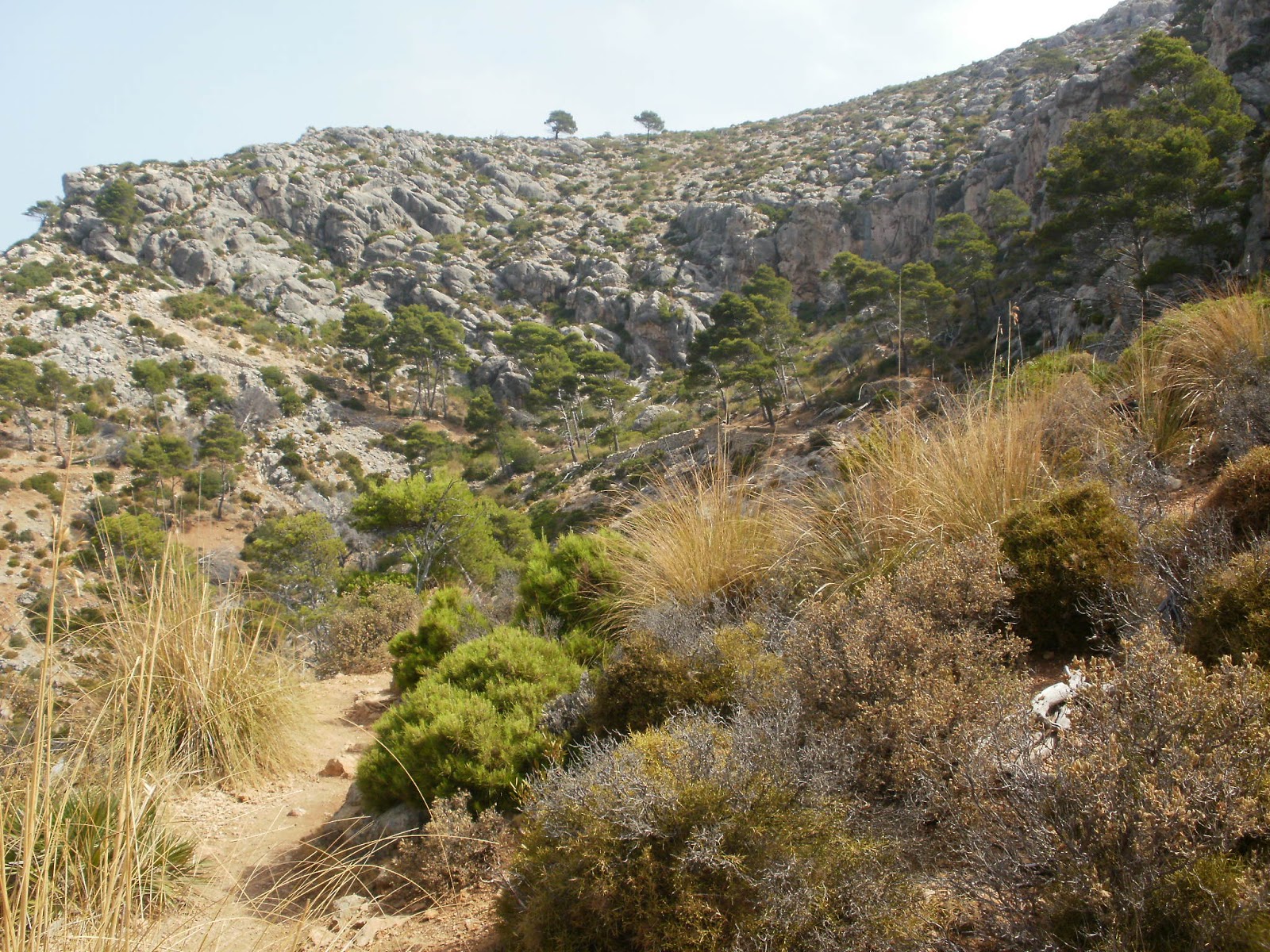 Mis días de montaña: 2012-10-07