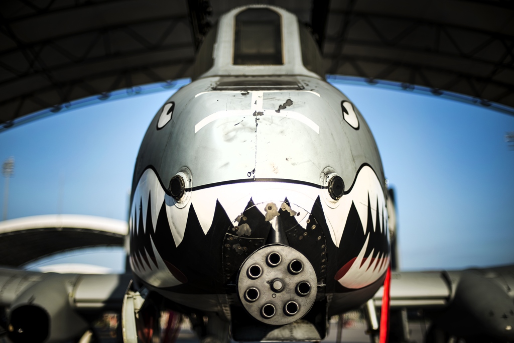 PHOTO COLLECTION OF USAF A-10 THUNDERBOLT II 'WARTHOG' - Blog Before ...