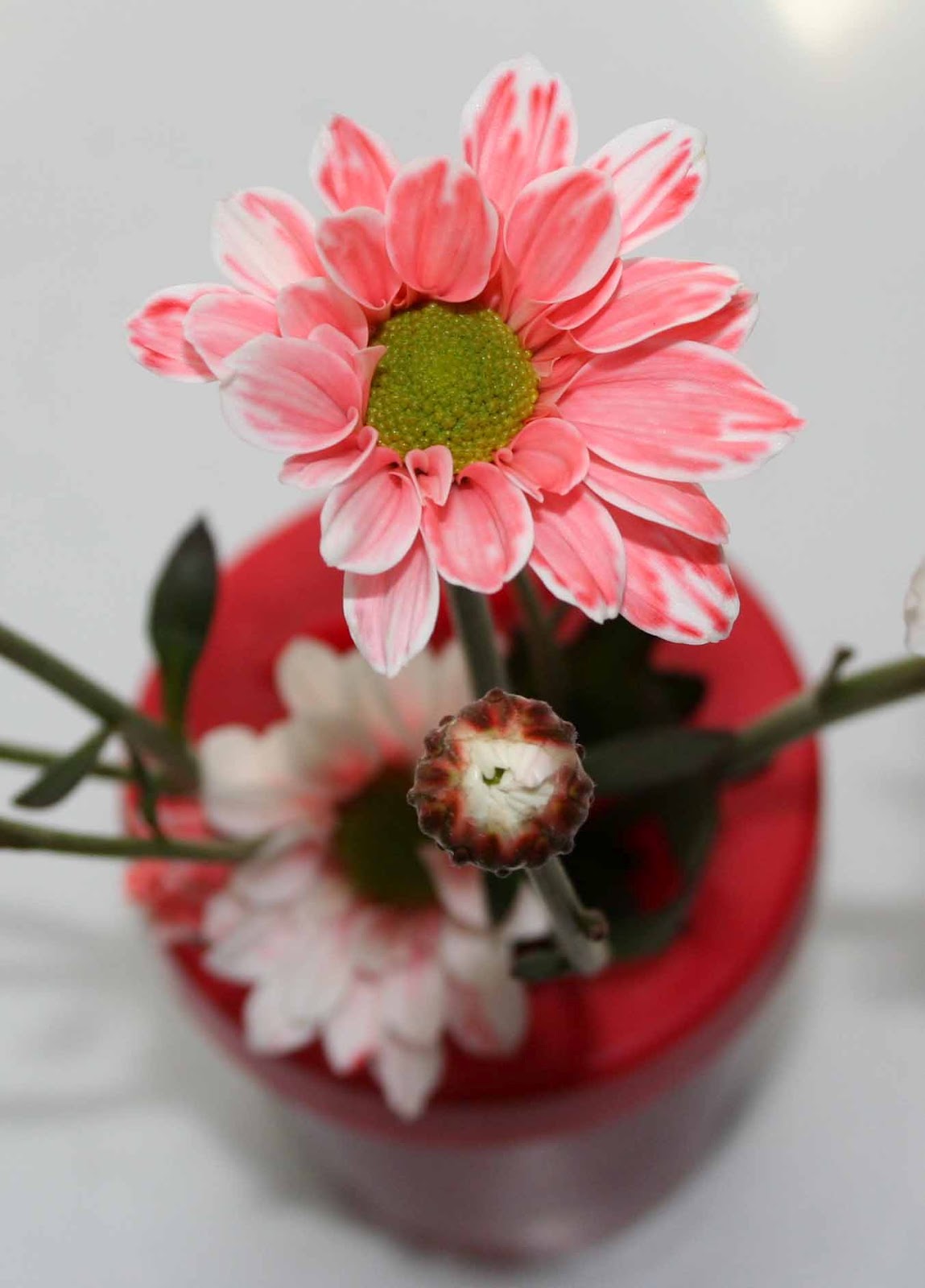 Creating and Educating: Flower Study