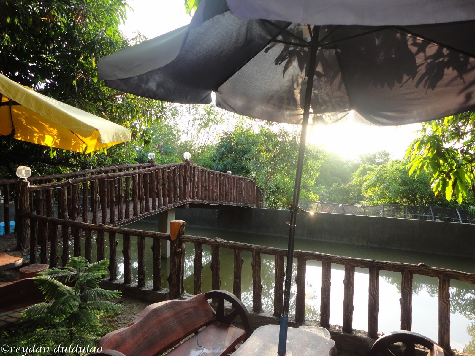 RD's leisure, sports and travels : D Farm and Park: Masinloc, Zambales
