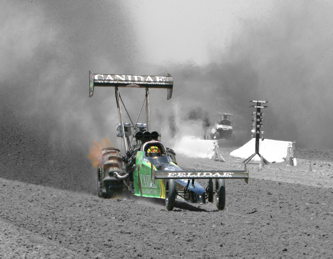 CANIDAE Racing: World Record Holder CANIDAE Racing Top Fuel Sand Drag ...