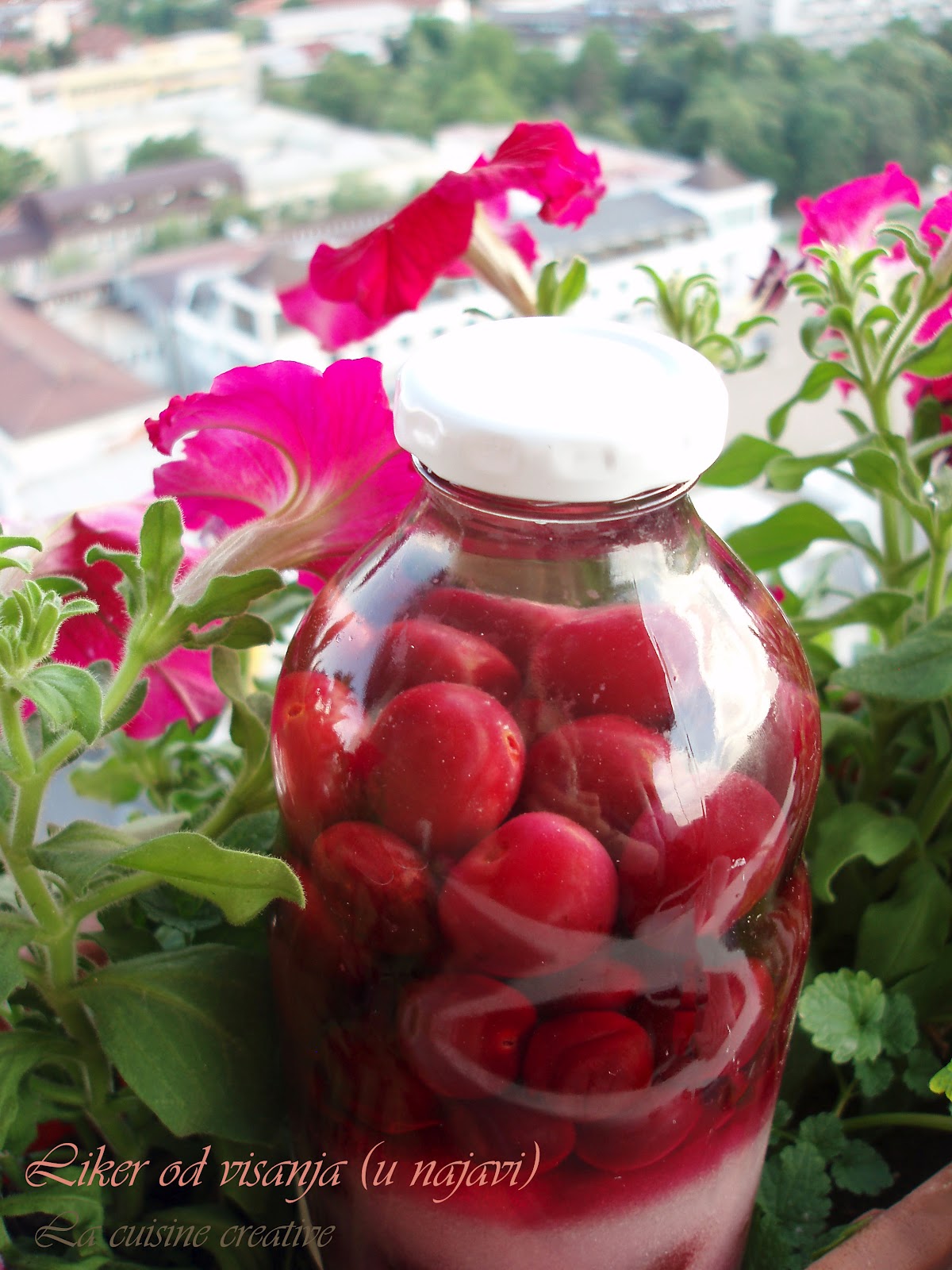 La cuisine creative: Kompot od visanja