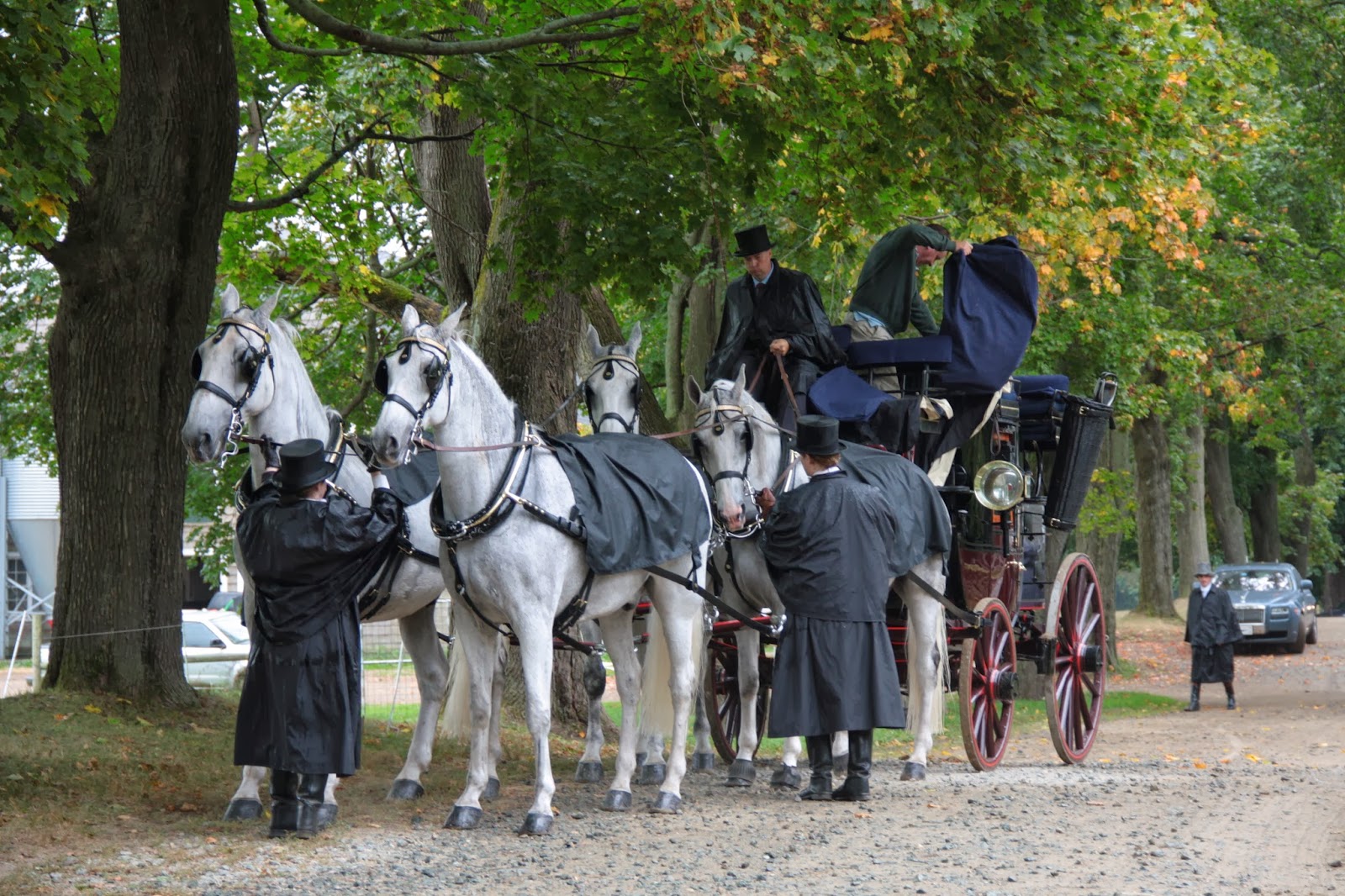The Historic Horse Drawn Coaches of Hamilton - Antiques