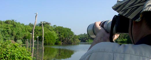 Bird Watching in Sri Lanka - Land Of Ceylon