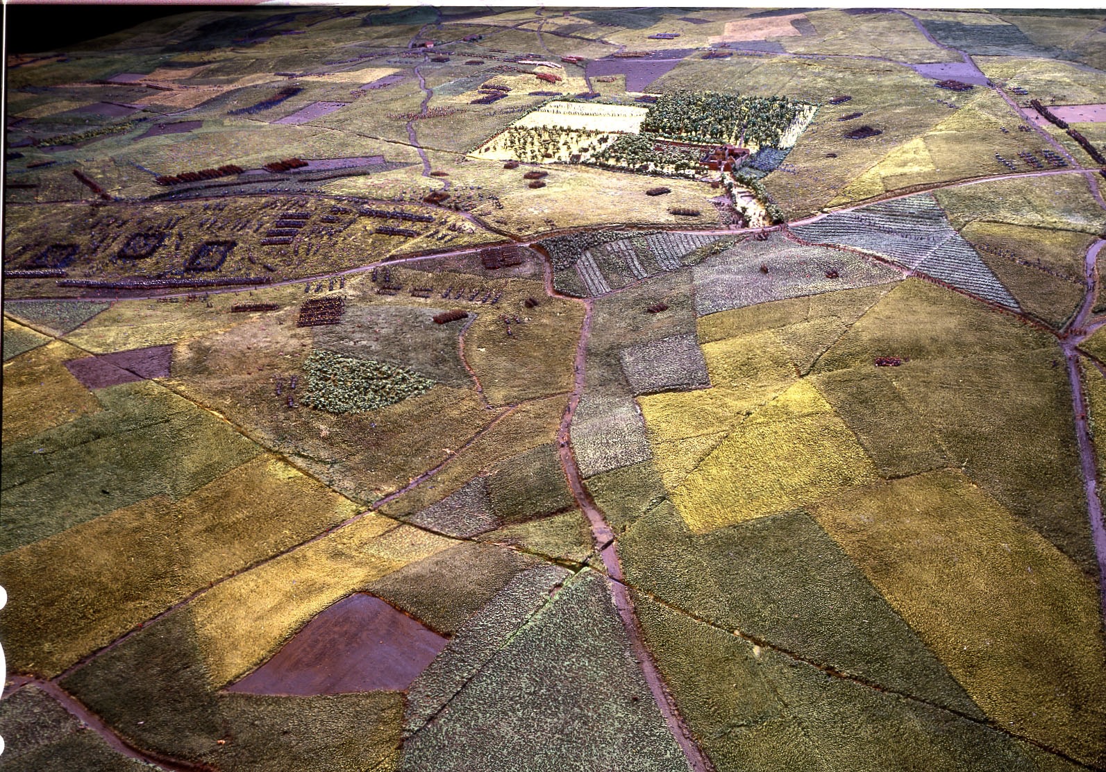 Waterloo in 20mm: The Field of Waterloo