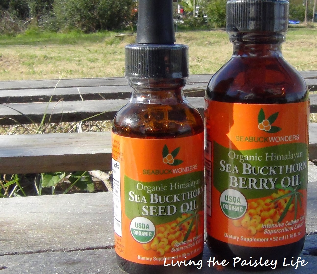 Living the Paisley Life: Seabuck Wonders Review