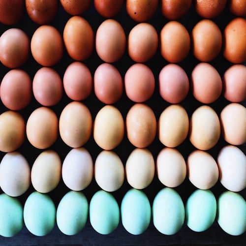 Photographer captures foods in colorful gradients