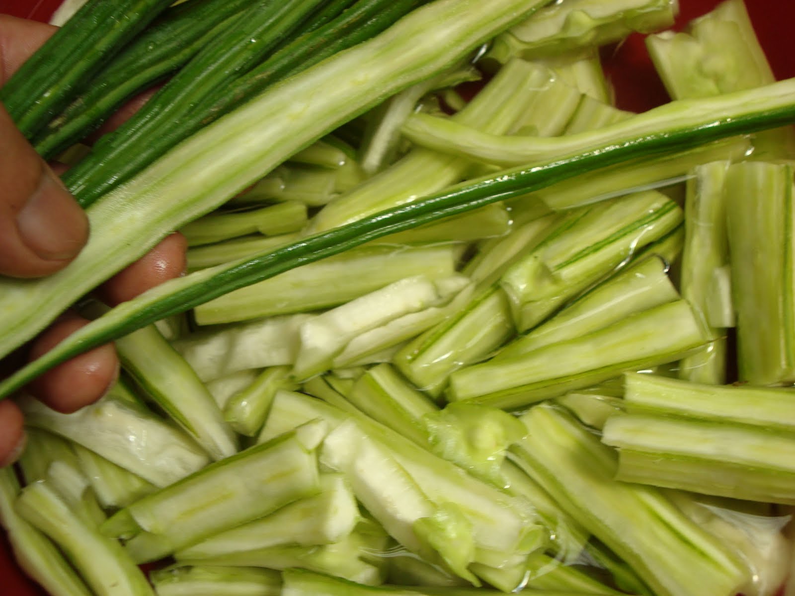 Naturalist's World - Dr Abe V Rotor : Favorite Ilocano Dishes (Northern ...